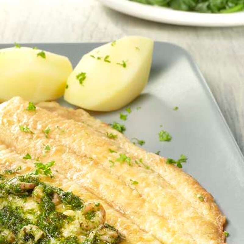 Recept voor Pladijs met saus van garnalen en kervel | Colruyt Lekker Koken Recept voor Pladijs met saus van garnalen en kervel | Colruyt Lekker Koken